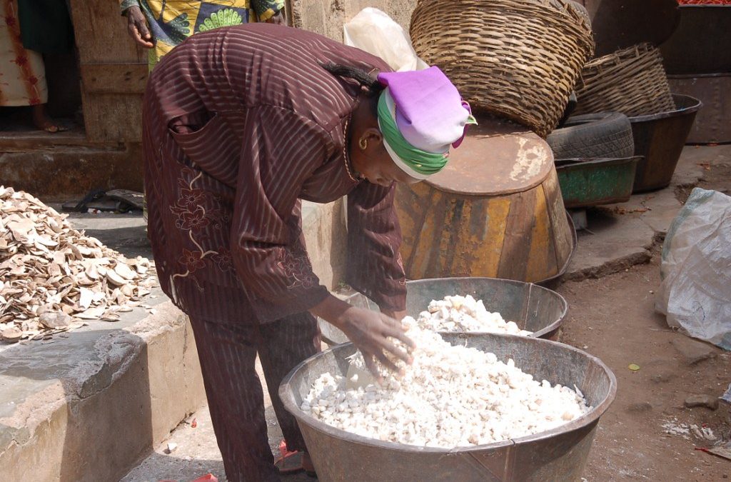 SCALING UP THE VALORIZATION OF CASSAVA WASTE AS ANIMAL FEED IN NIGERIA ...